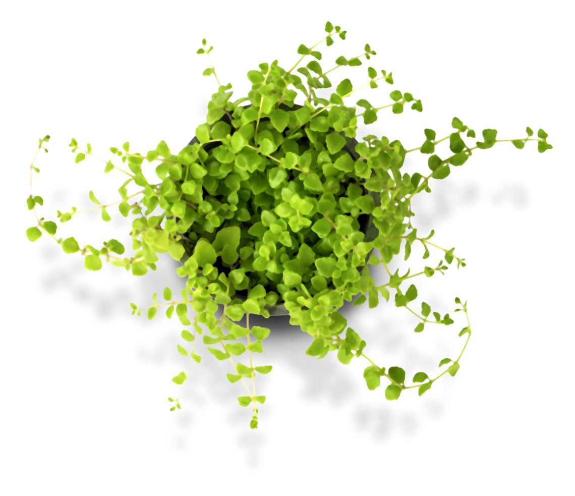 Webkonferenz-Software von vitero: strukturierte Online-Meetings | vitero