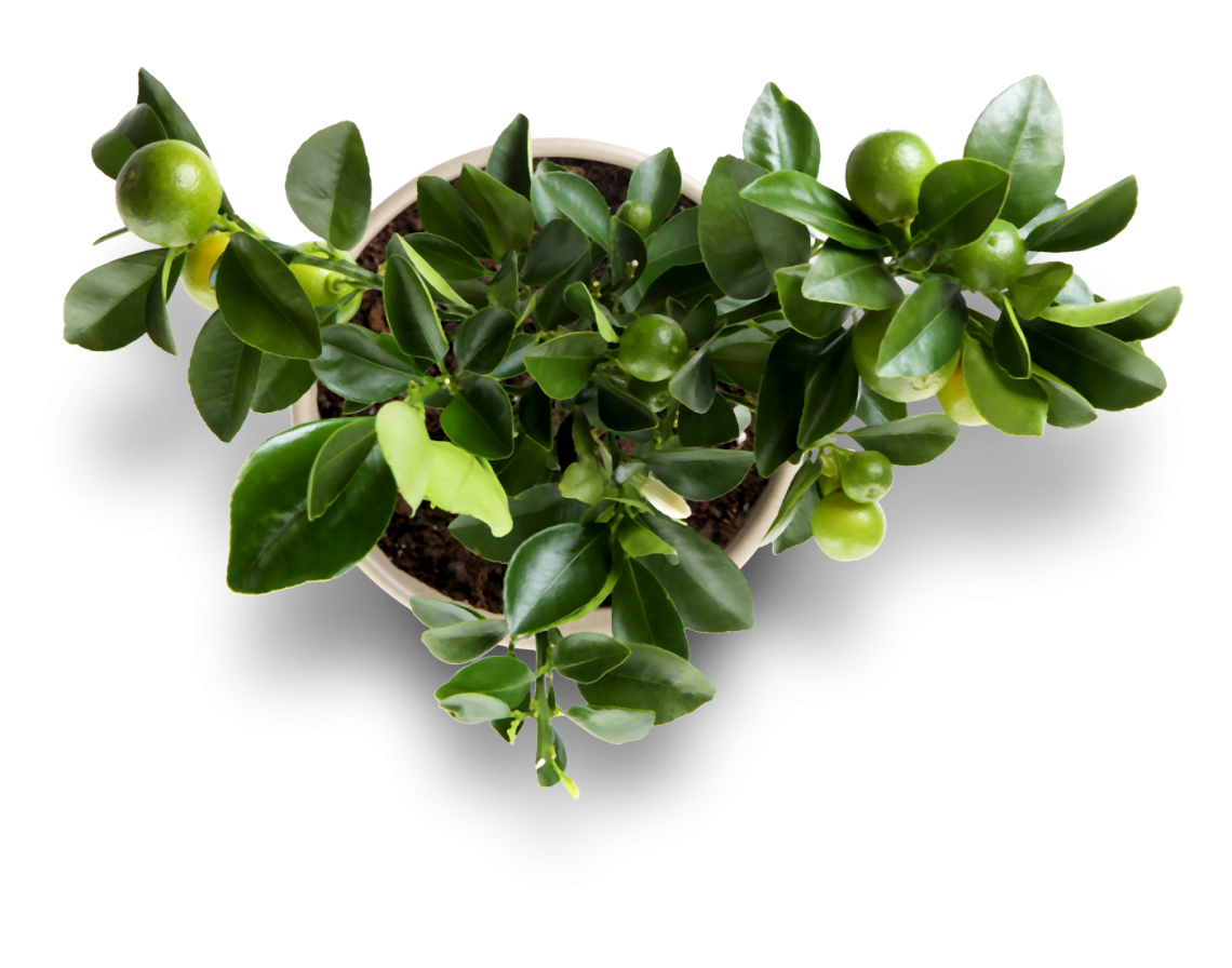 vitero inspire: Elevate virtual learning and meetings | vitero